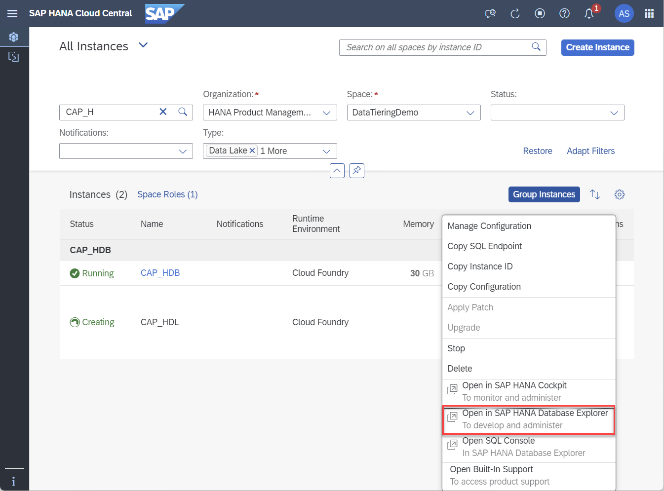 Build An Sap Cap Application To Access Sap Hana Cloud Data Lake Relational Engine Sap Tutorials